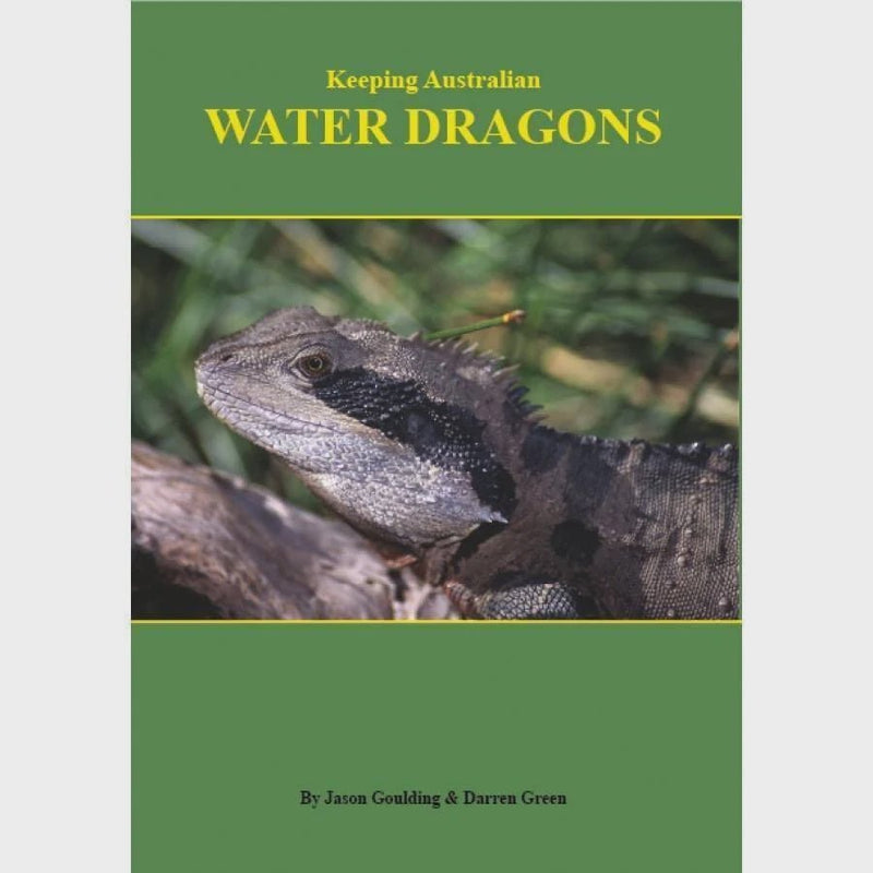 Keeping Australian Water Dragons – Jurassic Jungle