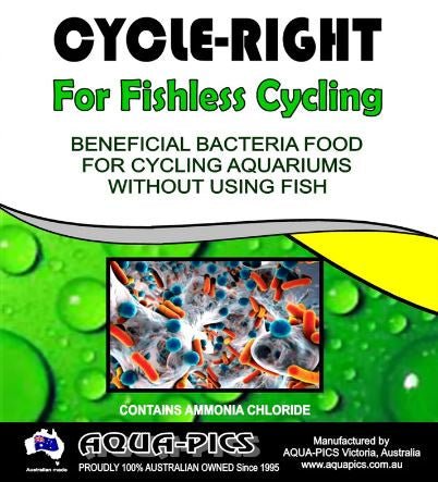 Cycle-Right Ammonia Supplement 125ml – Jurassic Jungle