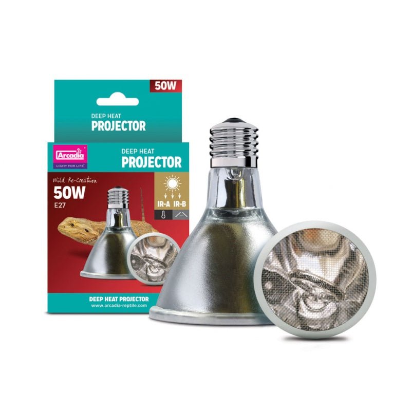 Deep Heat Projector 50w – Jurassic Jungle