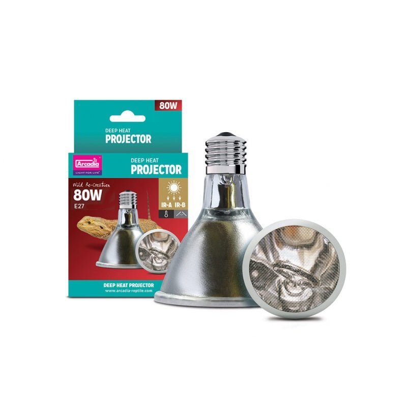Deep Heat Projector 80w – Jurassic Jungle