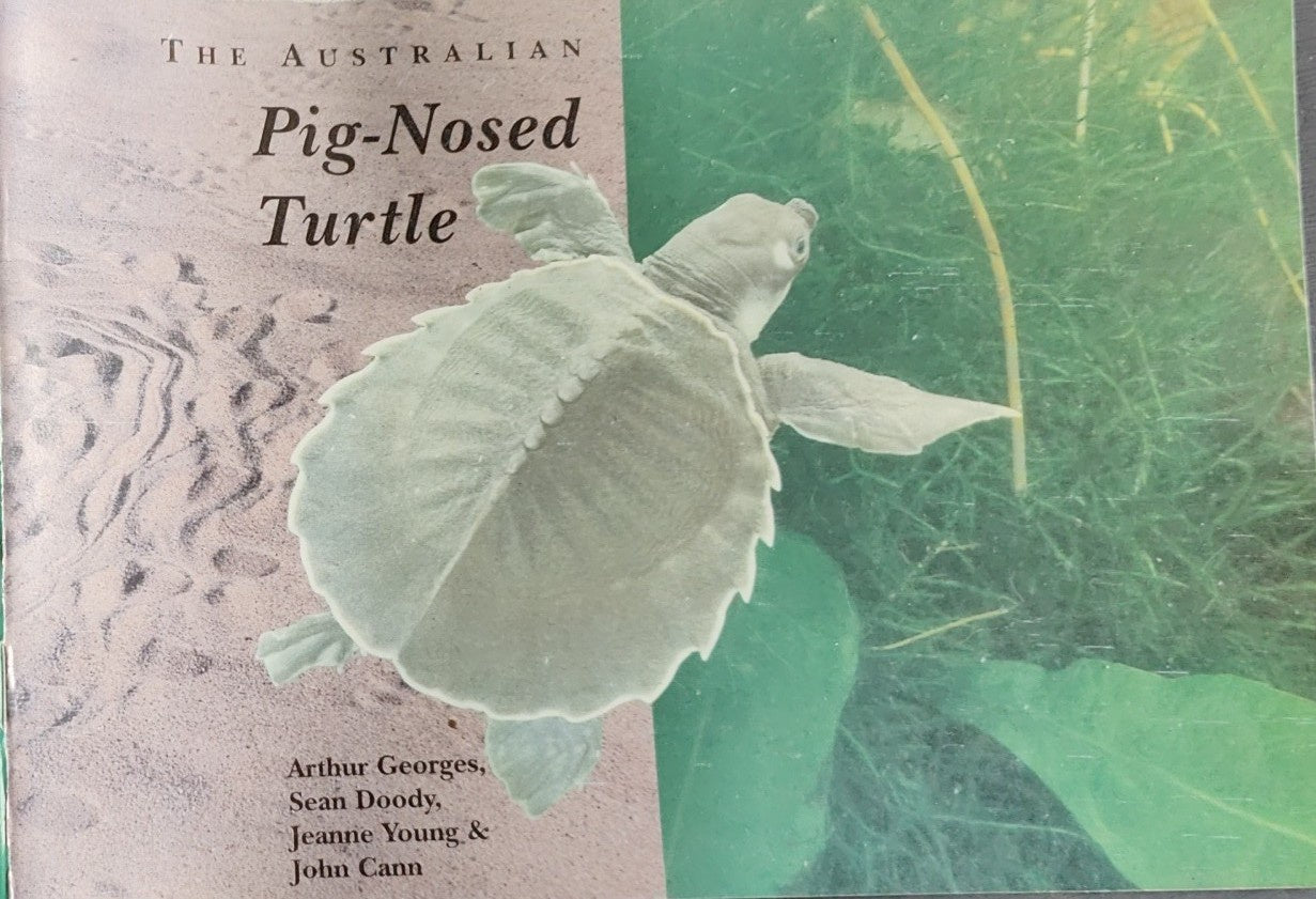 The Australian Pig-Nosed Turtle – Jurassic Jungle
