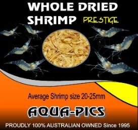 Whole dried shrimp 30g – Jurassic Jungle