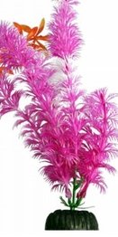 Reptile Aquarium Plant - Brightscape Medium 8inch Ambulia Pink ...
