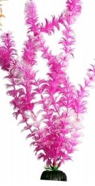 Jurassic Jungle - Reptile & Aquarium Shop Melbourne