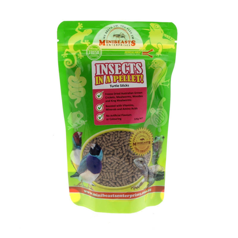 Insects in a Pellet – Jurassic Jungle