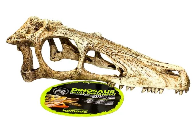 Komodo Raptor Skull Large – Jurassic Jungle